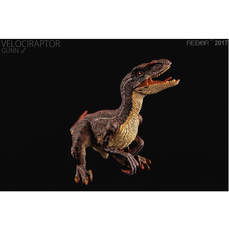 Rebor Velociraptor (Gunn/Rose), Hobbies & Toys, Toys & Games on Carousell