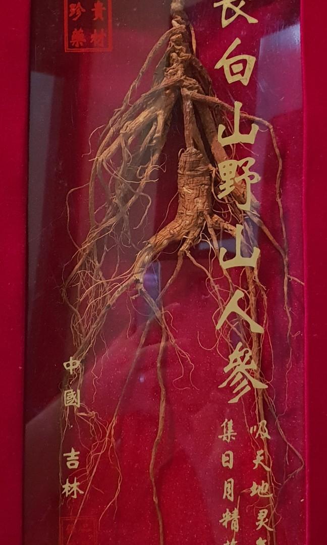 Chang Bai Shan Mountain Ginseng, Hobbies & Toys, Religious Items on ...