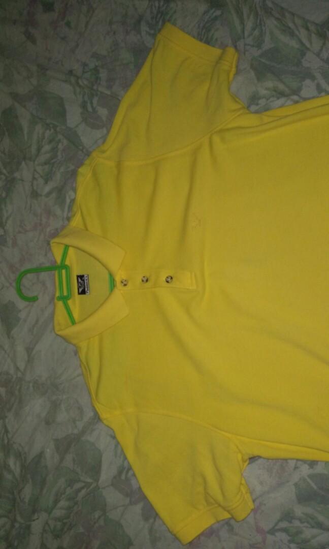 PADDOCK'S Light Yellow Polo Shirt on Carousell