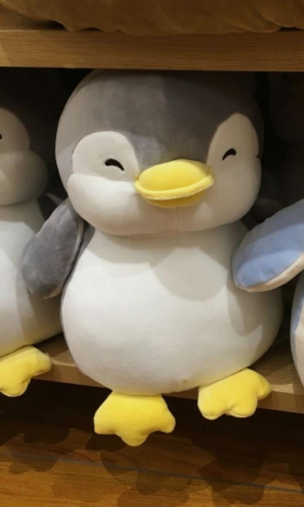 Miniso Penguin Plush Doll, Everything Else on Carousell