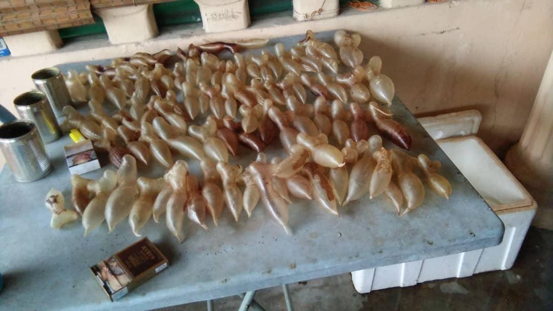 Tirusan - fish maw, Food & Drinks, Chilled & Frozen Food on Carousell