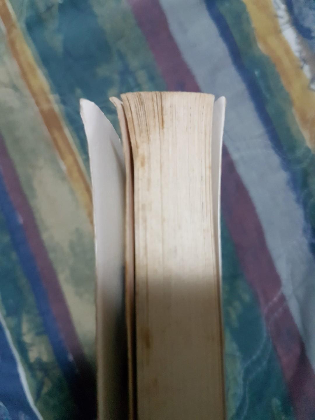 Janus Silang by Edgar Calabia Samar, Hobbies & Toys, Books & Magazines ...