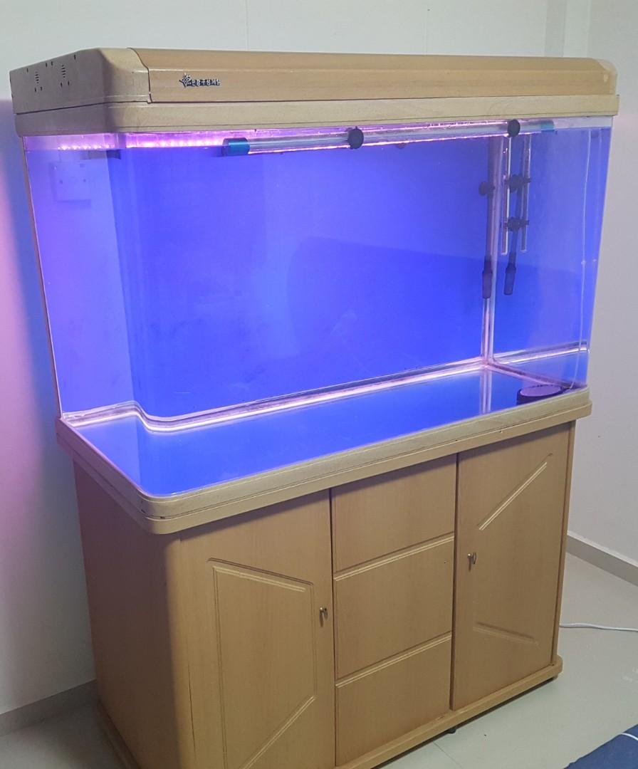 4 Feet fish tank, Pet Supplies, Homes & Other Pet Accessories on Carousell