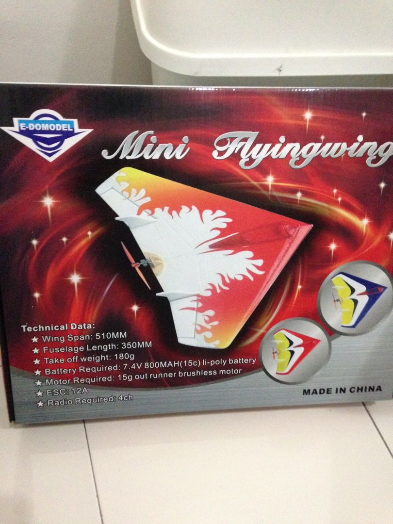 Mini Flyingwing (E-domodel), Hobbies & Toys, Toys & Games on Carousell