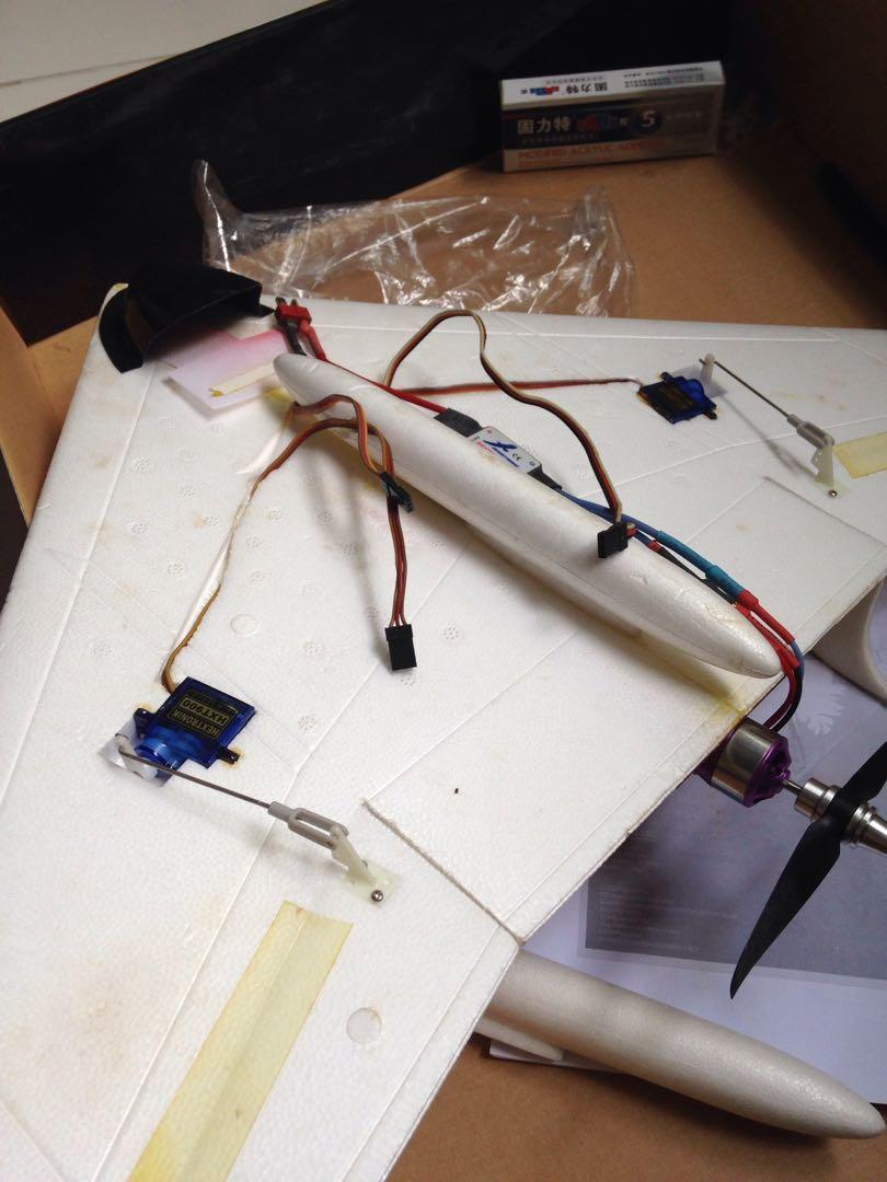 Mini Flyingwing (E-domodel), Hobbies & Toys, Toys & Games on Carousell