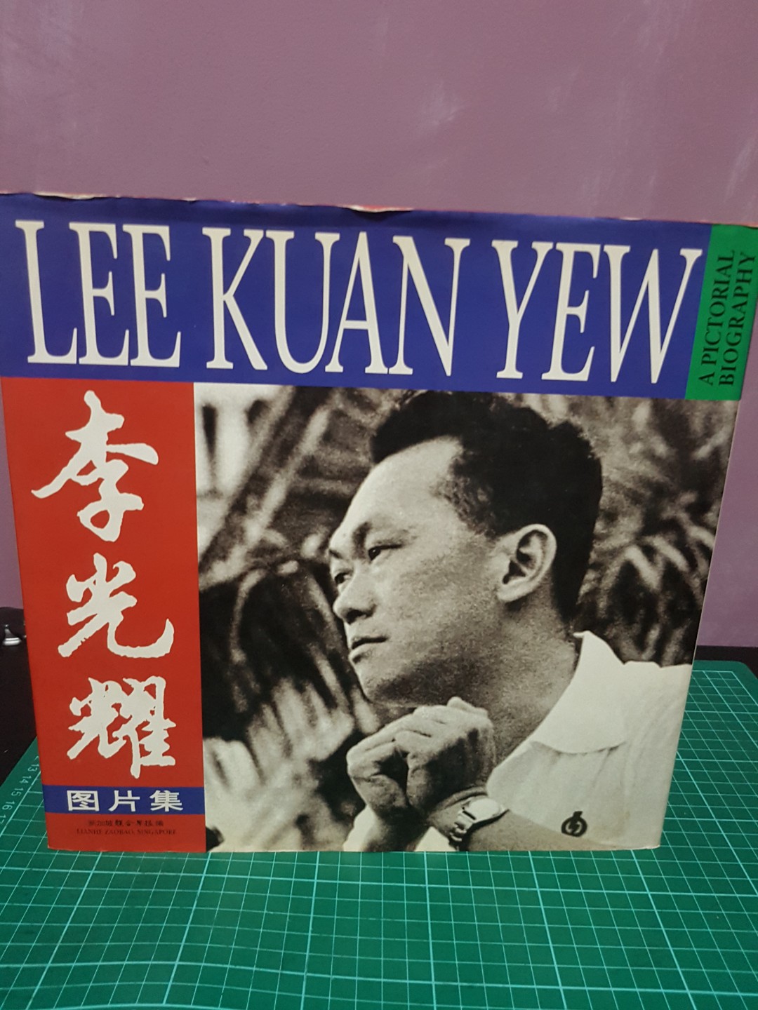 Pictorial Biography LKY, Hobbies & Toys, Books & Magazines, Fiction ...