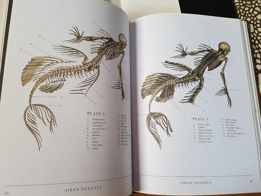 The Resurrectionist by E.B. Hudspeth, Hobbies & Toys, Books & Magazines ...
