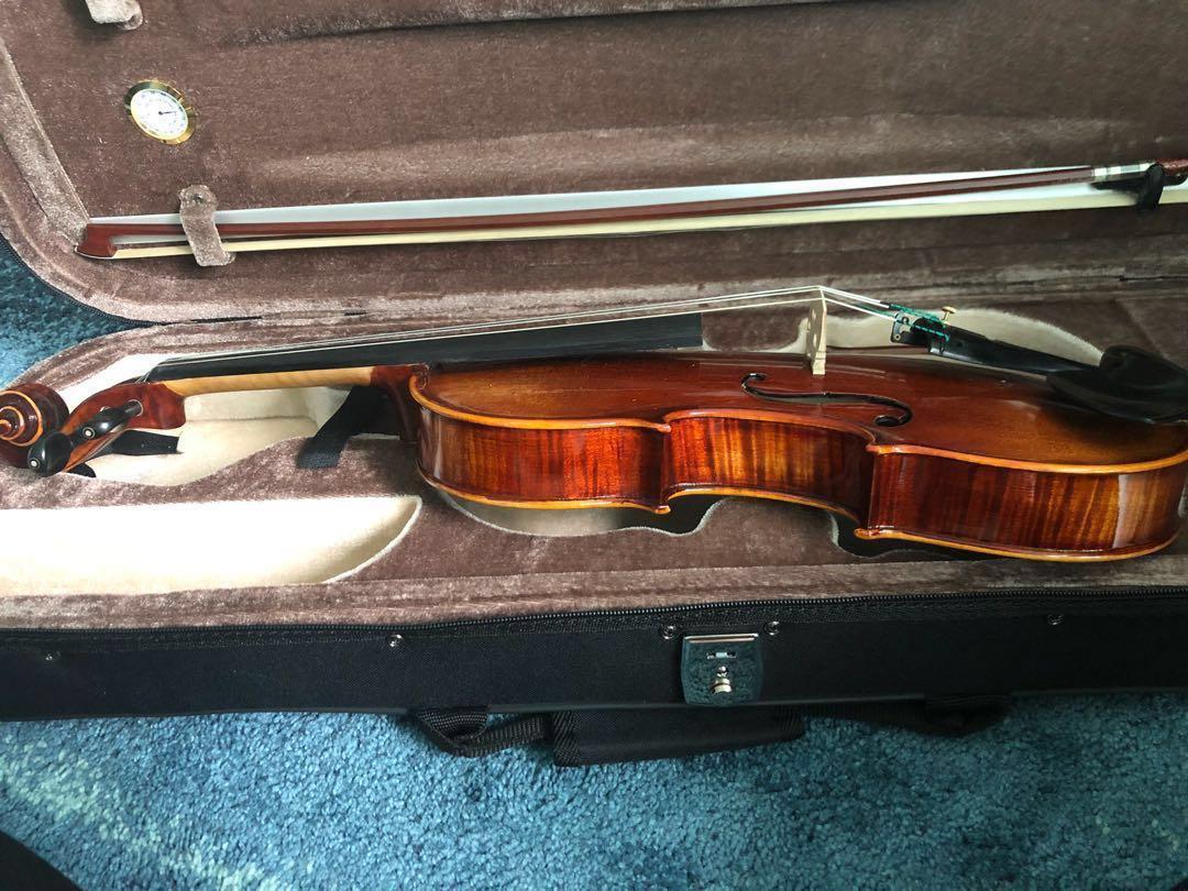 Brand New Professional model Belcanto Violins BV3000, Hobbies & Toys ...