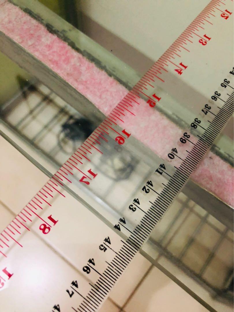 Meja tracing gambar lukis arsitek plus lampu TL, Perabotan Rumah di ...