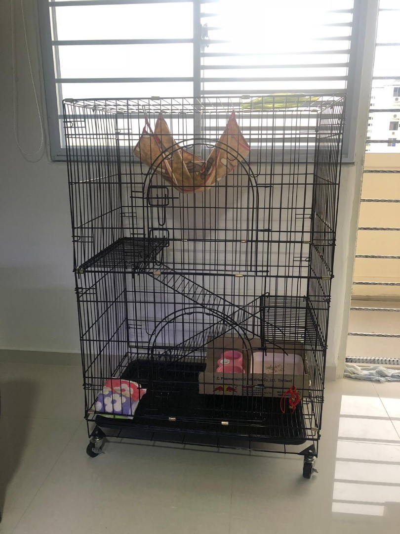 Cat Cage, Pet Supplies, Homes & Other Pet Accessories on Carousell