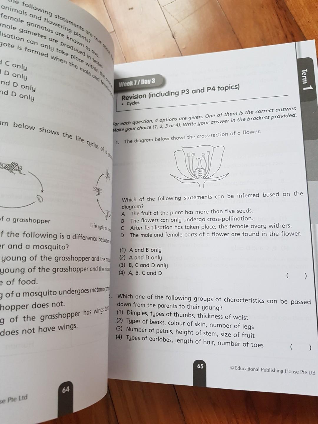 (New) P5 Science, Hobbies & Toys, Books & Magazines, Assessment Books ...