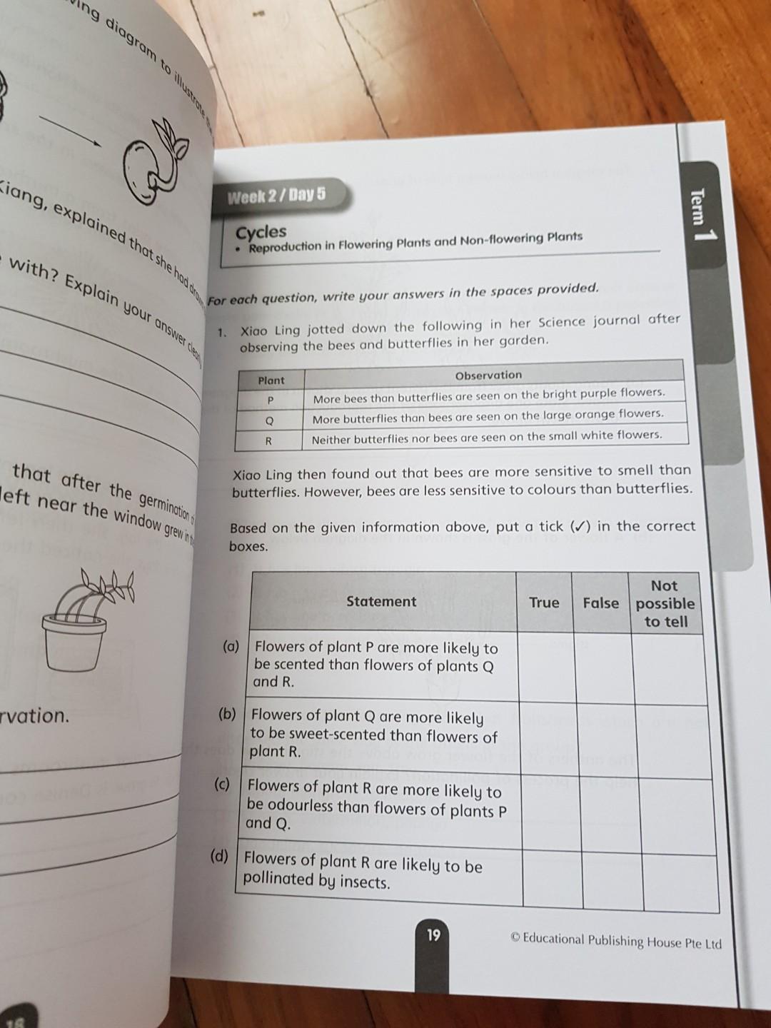 New P5 Science Hobbies And Toys Books And Magazines Assessment Books