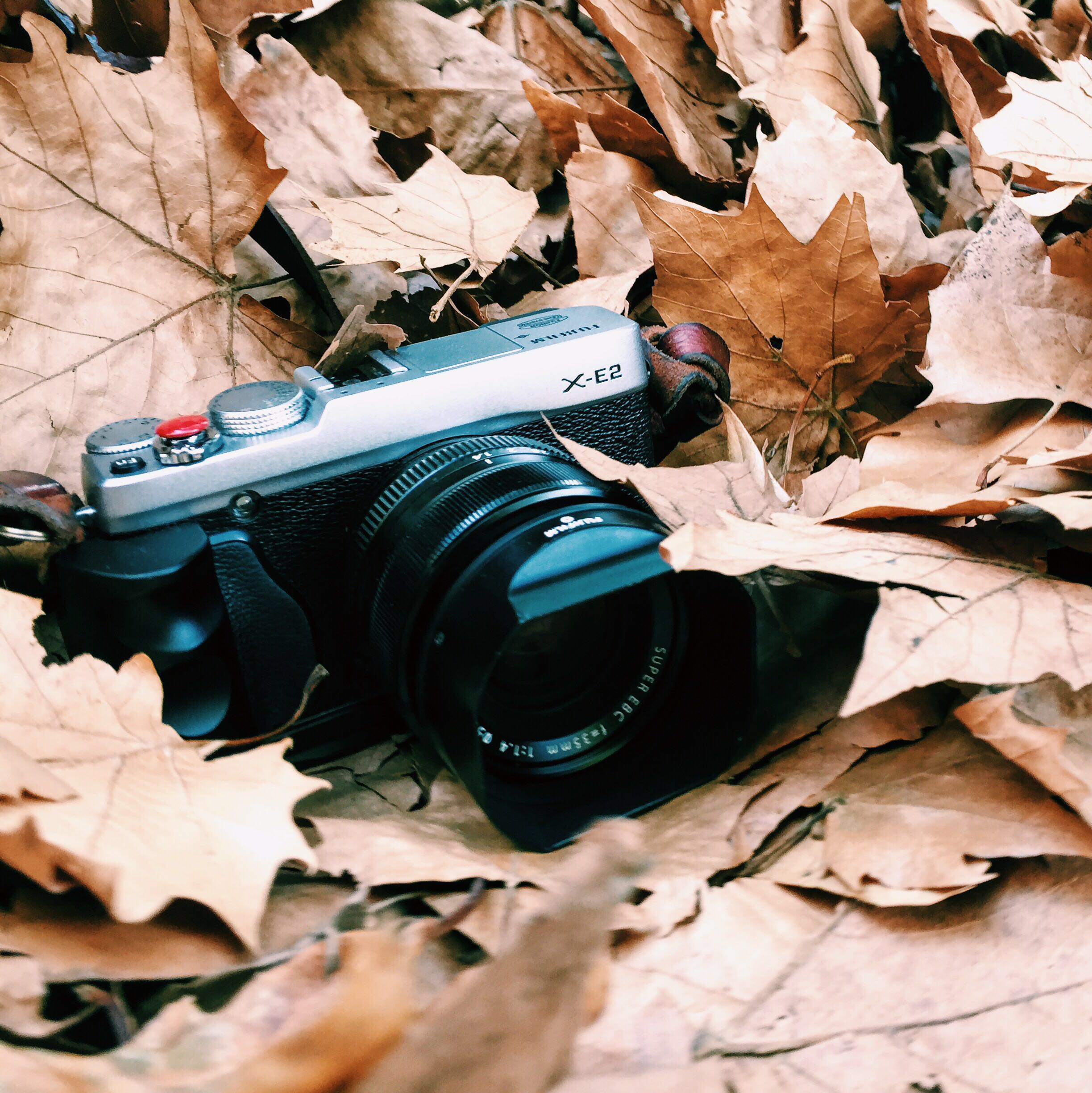 Fuji XE2 Body with Metal Grip, Photography, Cameras on Carousell