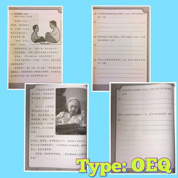 P4 Chinese Reading Comprehension, Hobbies & Toys, Books & Magazines ...