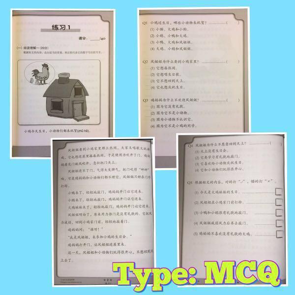 P4 Chinese Reading Comprehension, Hobbies & Toys, Books & Magazines ...