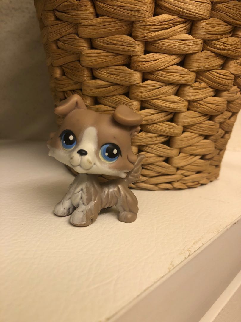 LPS LITTLEST PET SHOP GREY COLLIE DOG, Hobbies & Toys, Toys & Games on ...