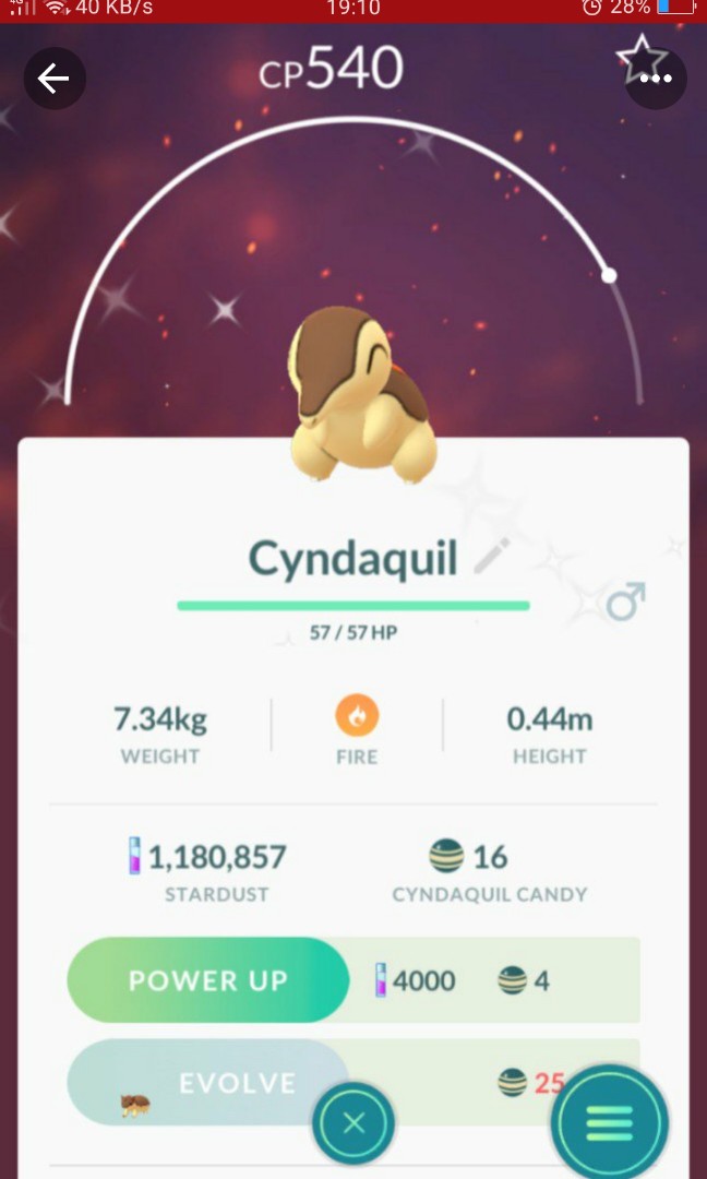Shiny Cyndaquil Evolution