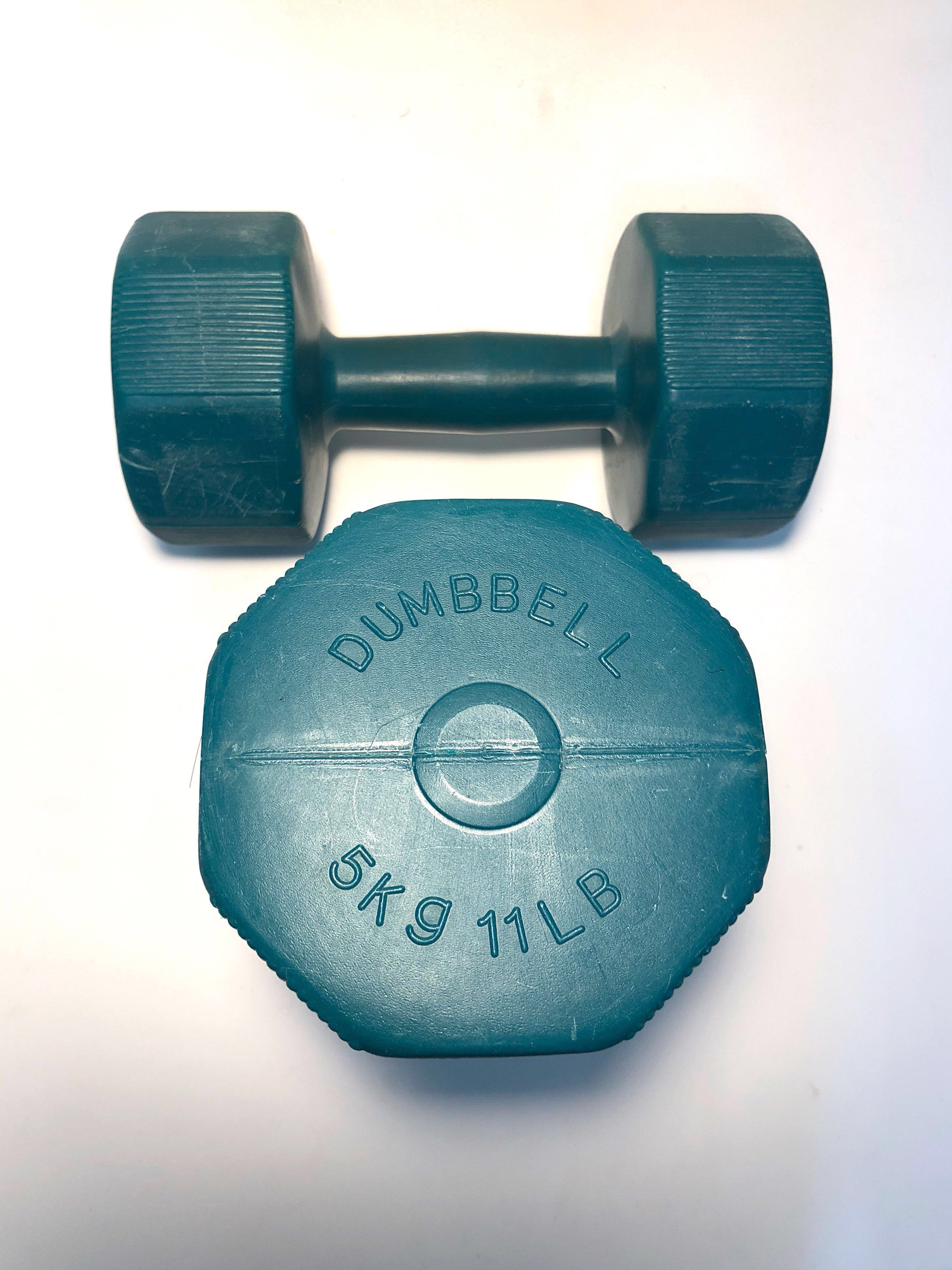 5KG / 11LB Dumbbell, Sports Equipment, Exercise & Fitness, Weights ...