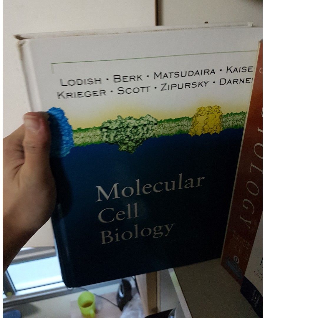 Lodish Et. Al Molecular Cell Biology Must have, Hobbies & Toys, Books ...