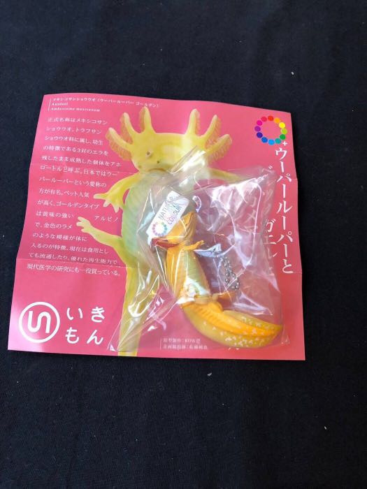 全新 奇譚 NTC MONO PLUS 日本青蛙 (白化蠑螈) 山椒魚扭蛋 2種一對 連蛋紙 動物 takara 海洋堂, 興趣及遊戲, 玩具 & 遊戲類 - Carousell