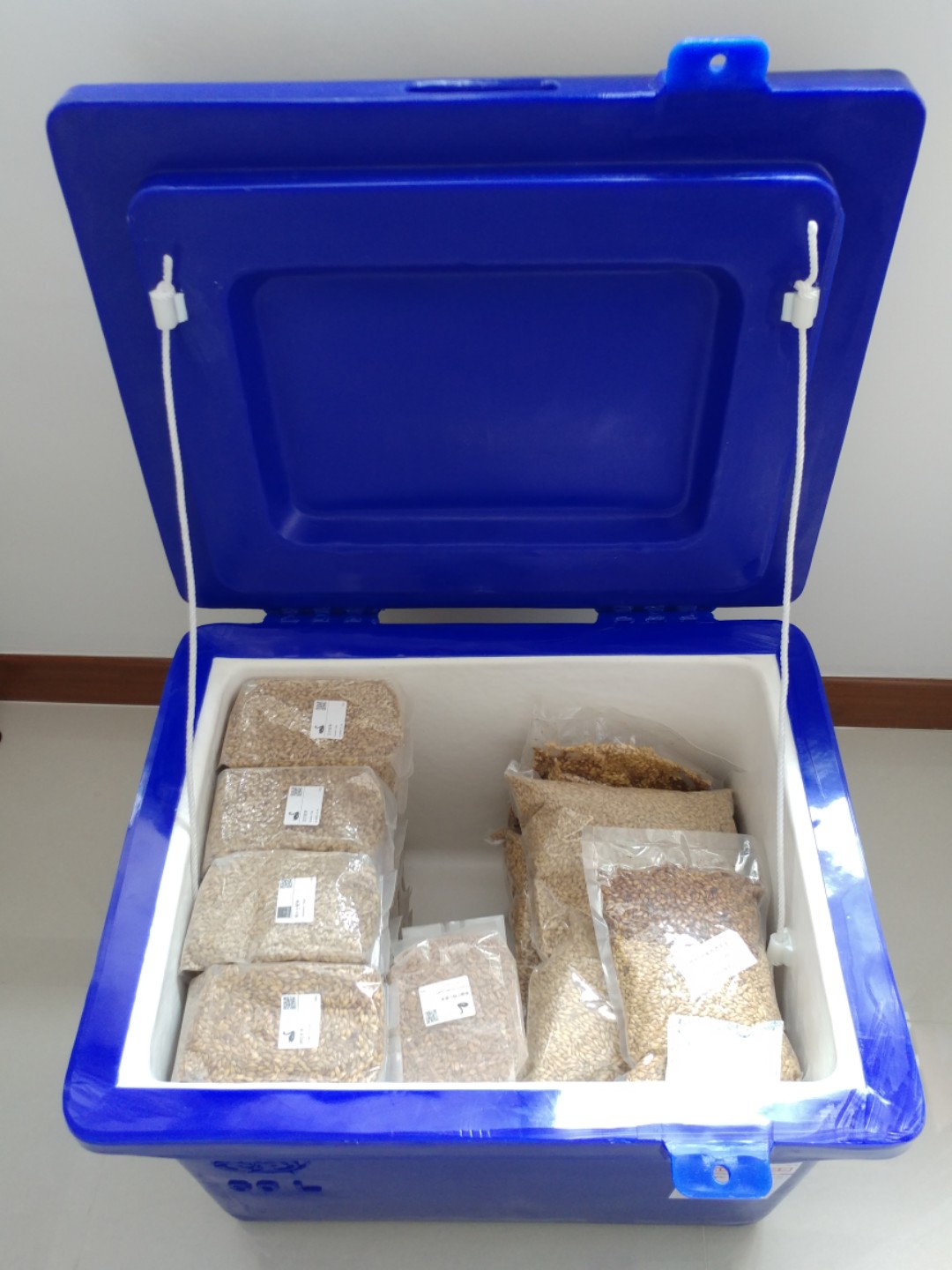 Ice Cooler Box 60L commercial food grade, Food & Drinks, Other Food ...