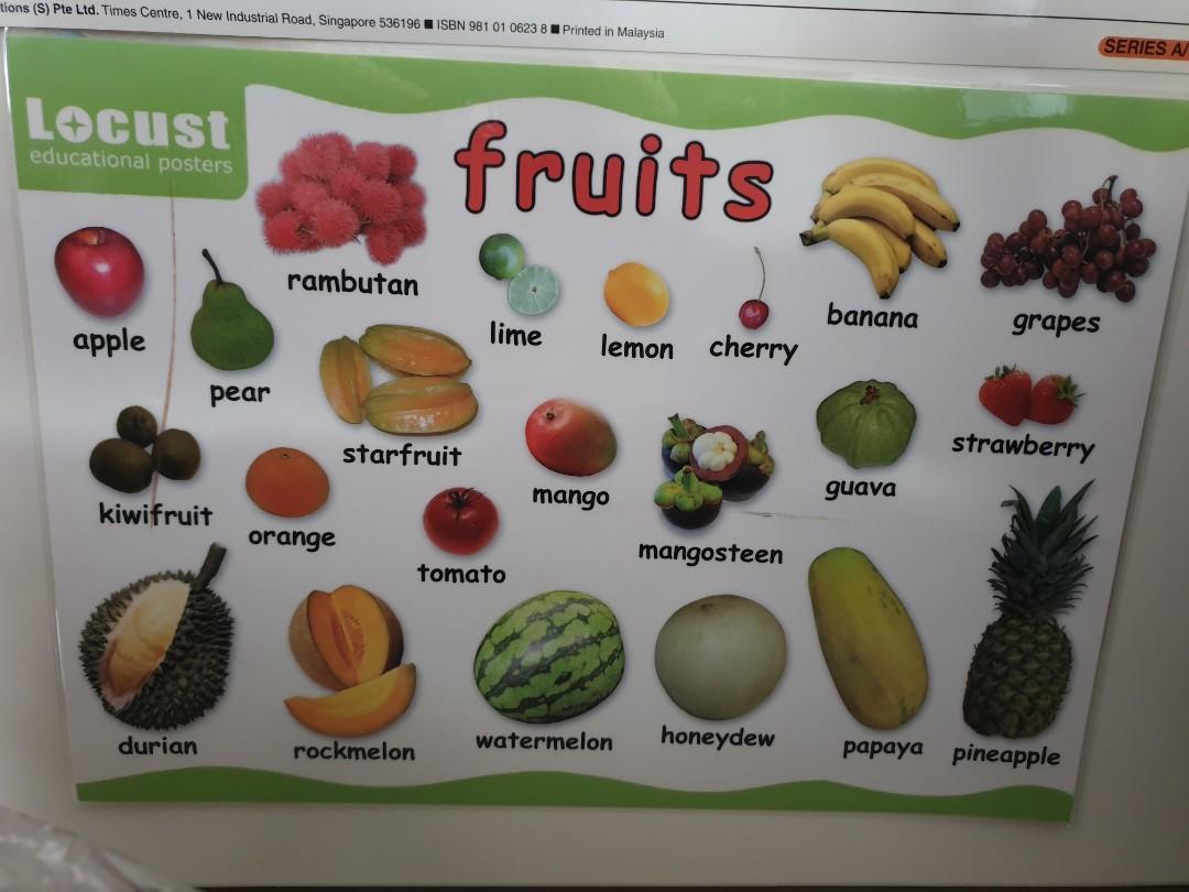 Locust Educational Posters, wall charts, Hobbies & Toys, Books ...