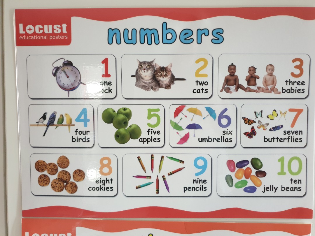 Locust Educational Posters, wall charts, Hobbies & Toys, Books ...