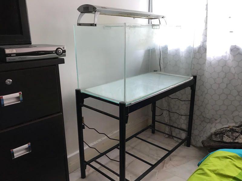3 Feet Fish Tank, Pet Supplies, Homes & Other Pet Accessories on Carousell