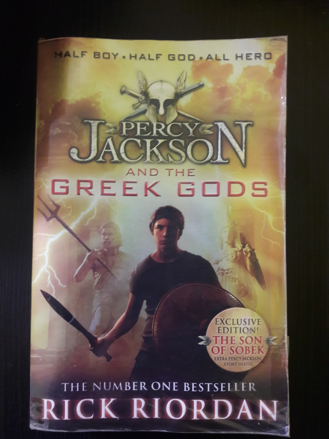 Percy Jackson And The Greek Gods by Rick Riordan, Hobbies & Toys, Books ...