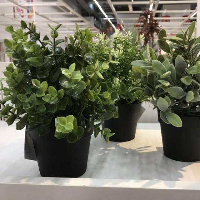 Ikea Fejka Each Mini Tree Artificial Plants, Furniture & Home Living ...