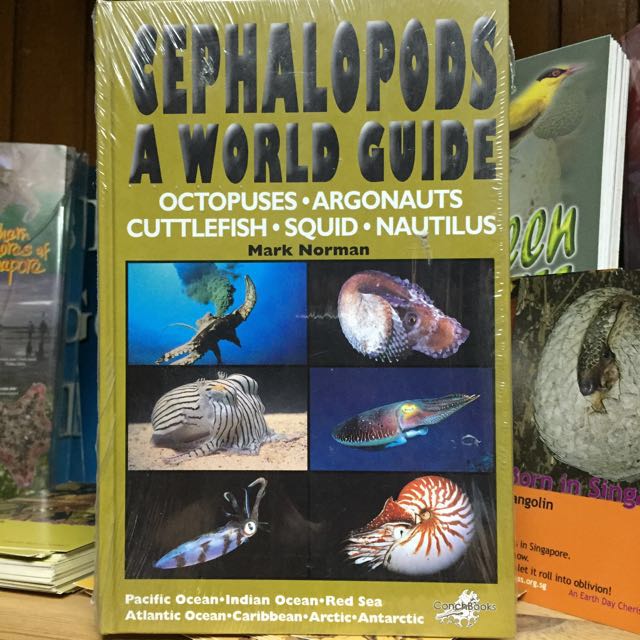 Cephalopods A World Guide, Hobbies & Toys, Books & Magazines, Travel ...