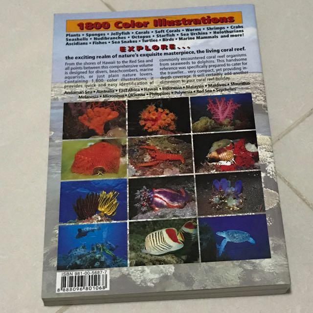 Indo-Pacific Coral Reef Field Guide, Hobbies & Toys, Books & Magazines ...