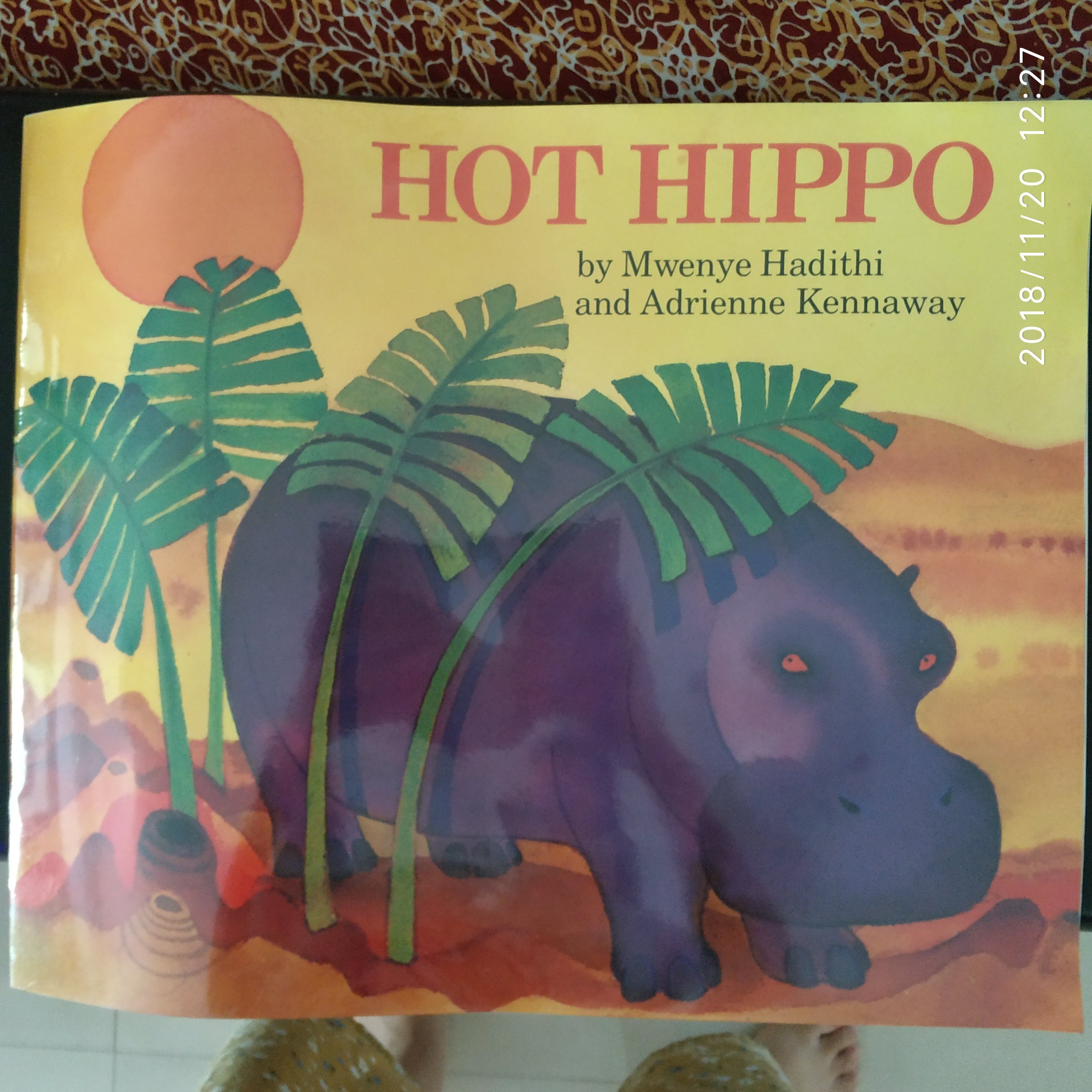 Big Book (45×37cm): Hot Hippo, Hobbies & Toys, Books & Magazines ...