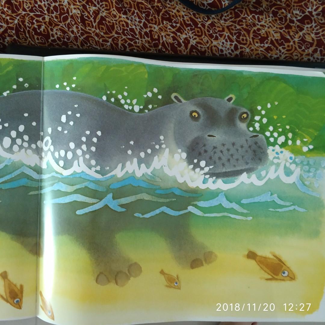 Big Book (45×37cm): Hot Hippo, Hobbies & Toys, Books & Magazines ...