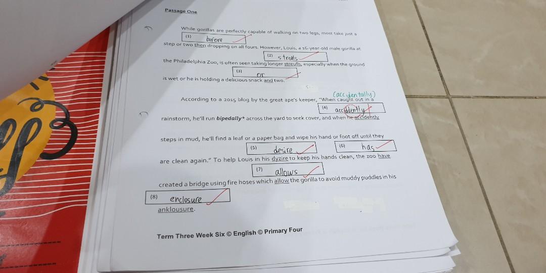 Mavis Tutorial Centre-Primary P4 English, Hobbies & Toys, Books ...