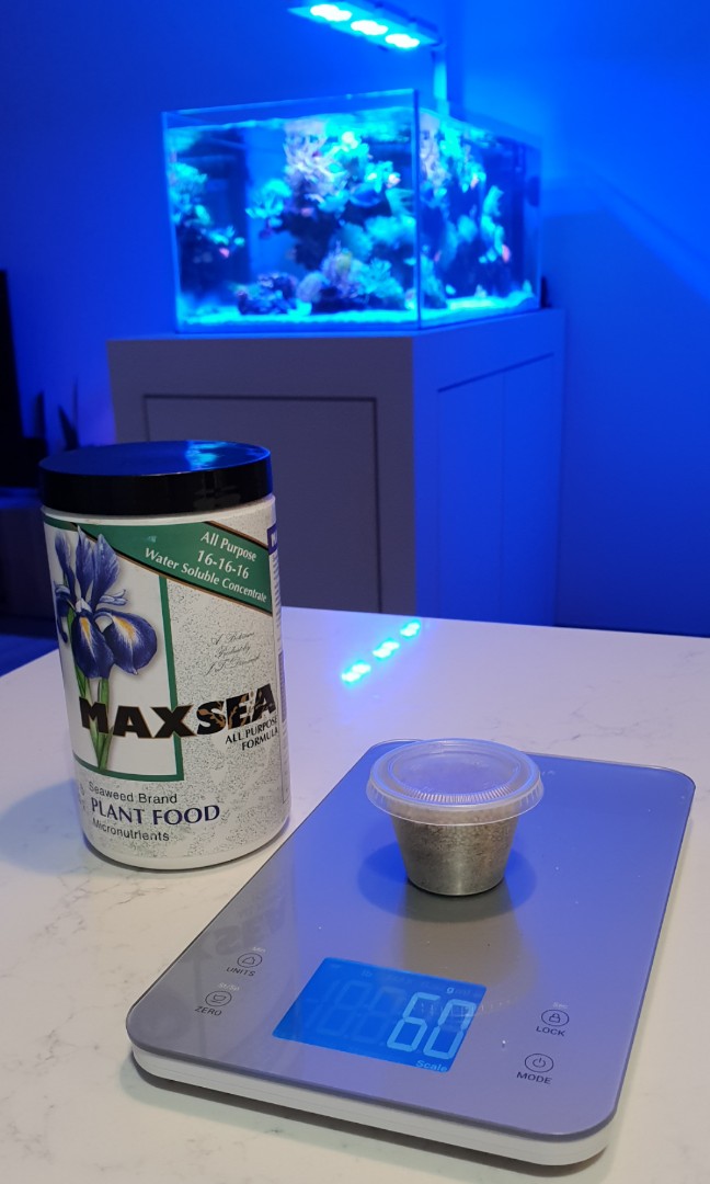 Maxsea Kelp Fertilizer (60g tubs), Furniture & Home Living, Gardening, Garden Soil & Fertilisers ...