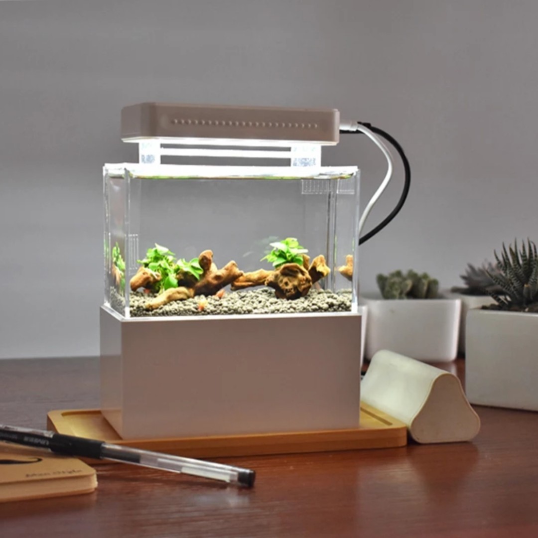 AIO Nano Tank, Pet Supplies, Homes & Other Pet Accessories on Carousell