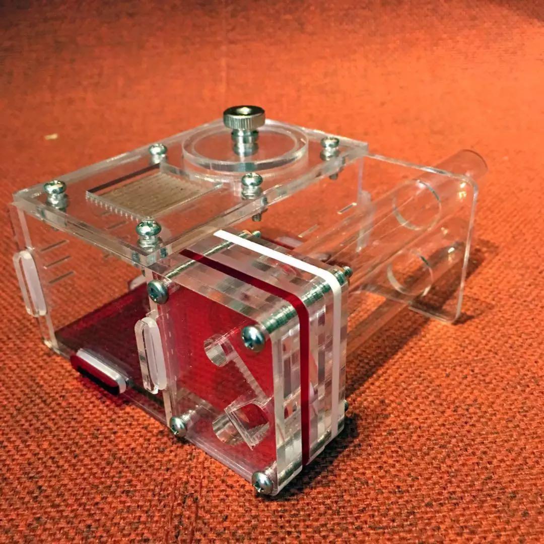 Ants Formi Ants house Ant tank, Pet Supplies, Homes & Other Pet ...