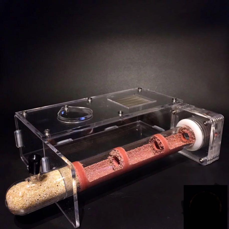 Ants Formi Ants house Ant tank, Pet Supplies, Homes & Other Pet ...