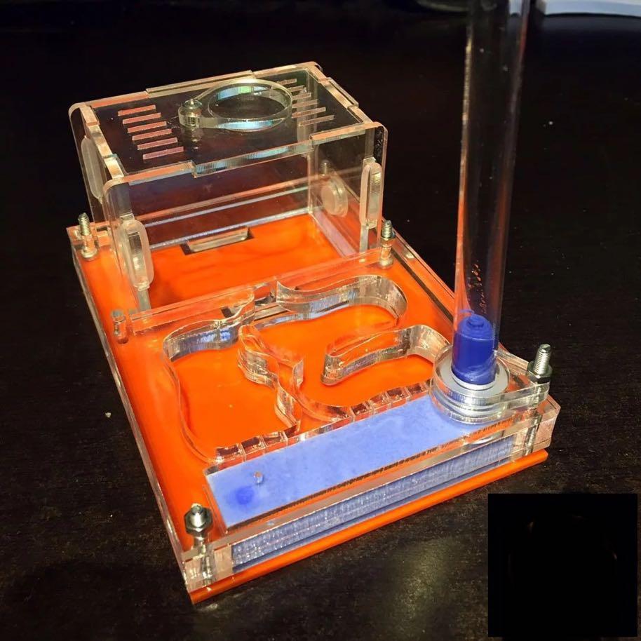 Ants Formi Ants house Ant tank, Pet Supplies, Homes & Other Pet ...