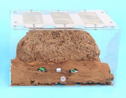 Ants Formi Ants house Ant tank, Pet Supplies, Homes & Other Pet ...
