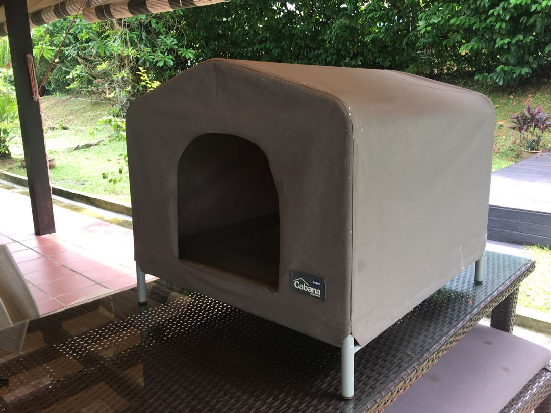 Cabana Dog House, Pet Supplies, Homes & Other Pet Accessories on Carousell