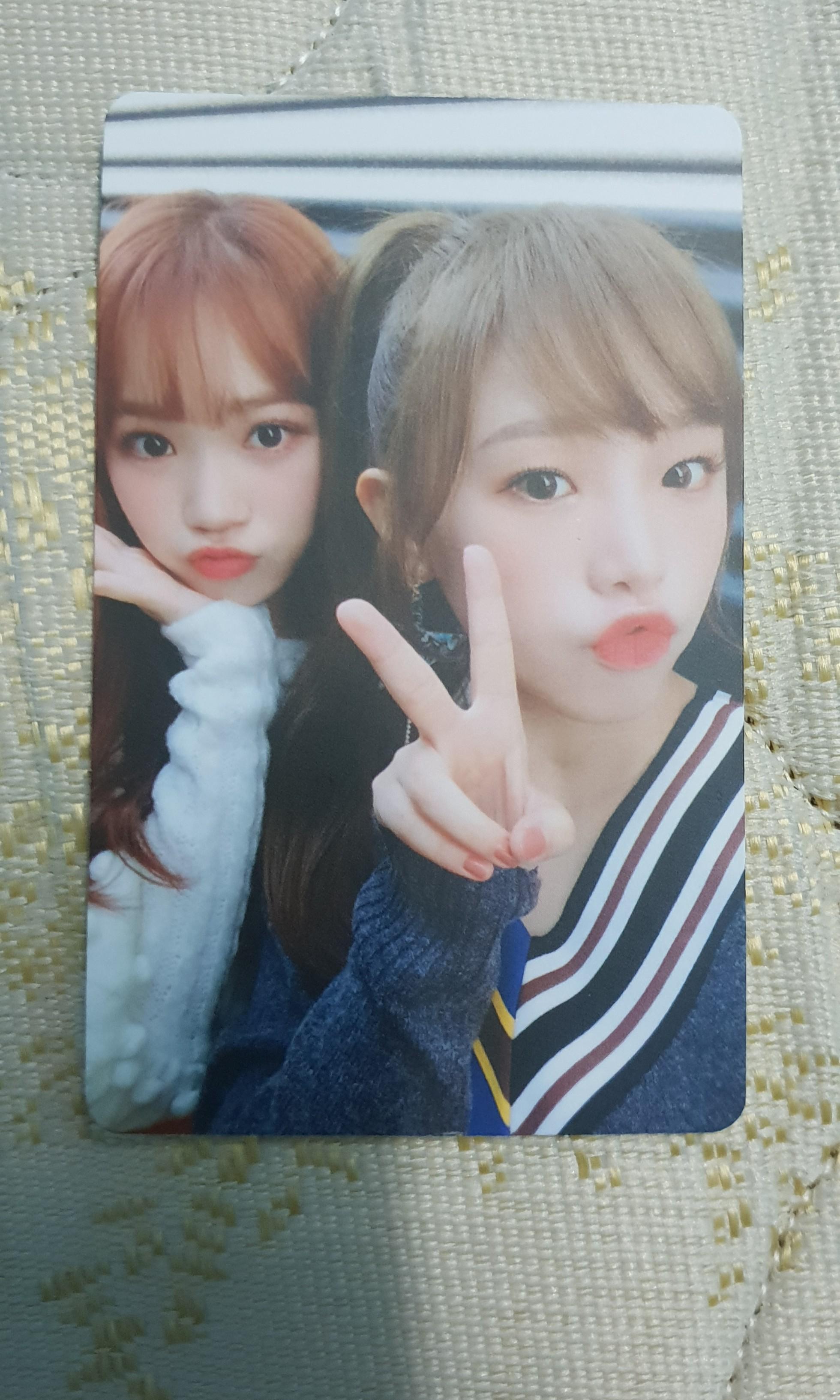 Iz*one Official Photocard Yena Chaewon Color*iz Album, Hobbies & Toys, Collectibles ...