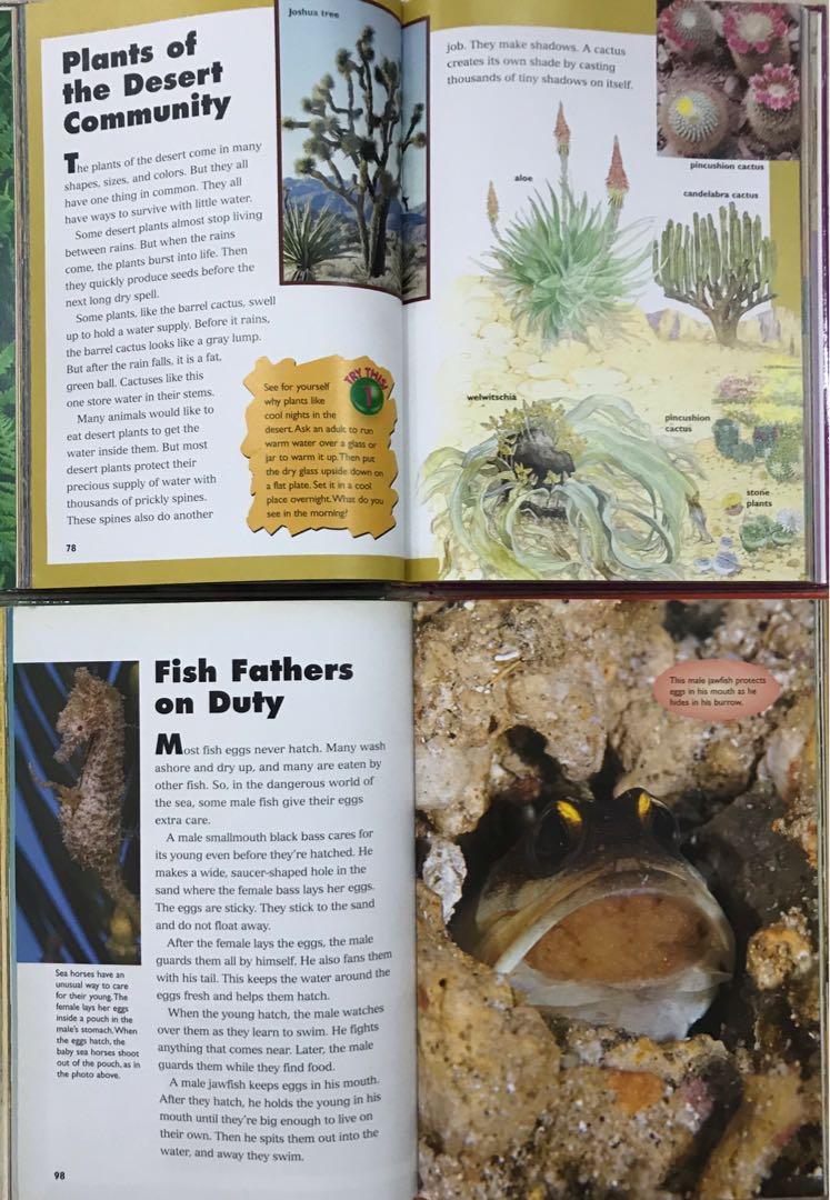 Childcraft Encyclopedia Set, Hobbies & Toys, Books & Magazines ...