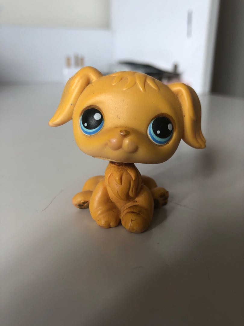 LPS LITTLEST PET SHOP YELLOW DOG, BLUE EYES, Hobbies & Toys, Toys ...