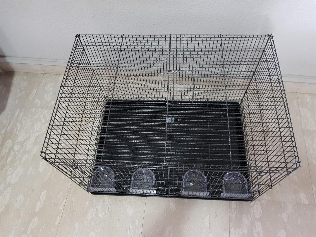 New bird cage, Pet Supplies, Homes & Other Pet Accessories on Carousell