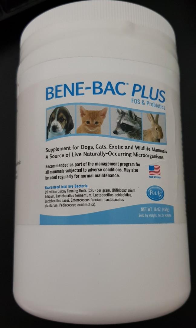 Pet AG Bene-bac plus FOS & probiotics powder (454g), Pet Supplies, Pet ...