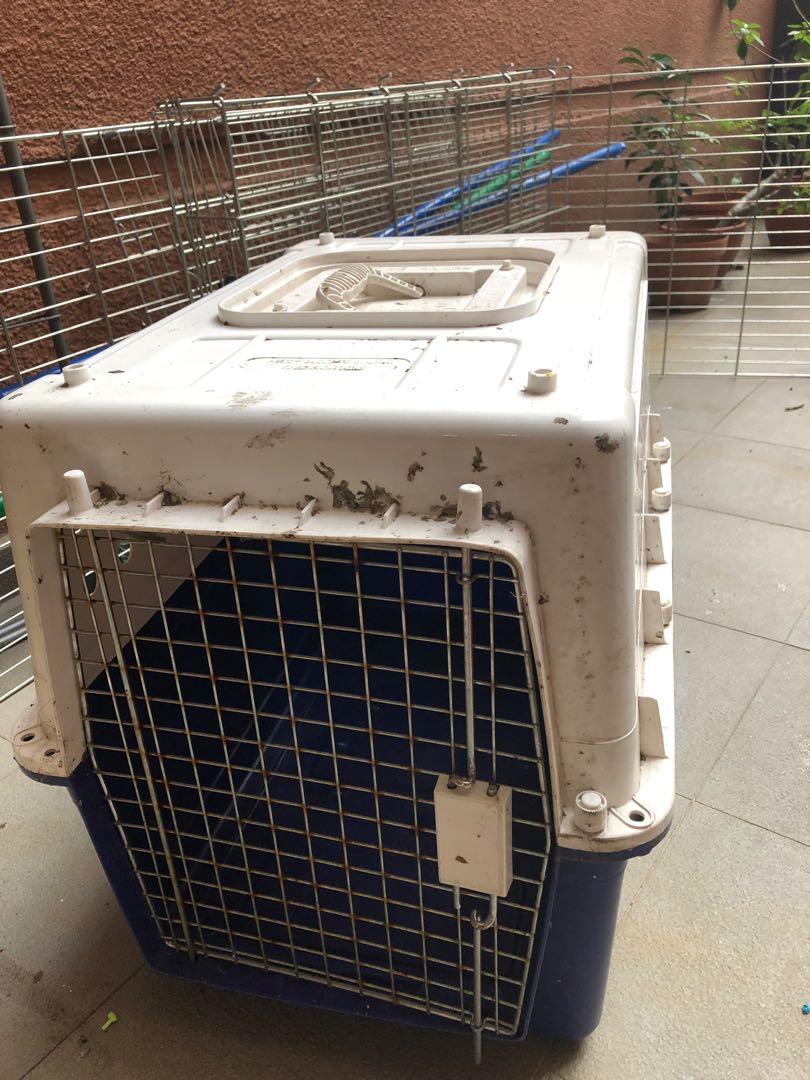 Pet carrier, Pet Supplies, Homes & Other Pet Accessories on Carousell