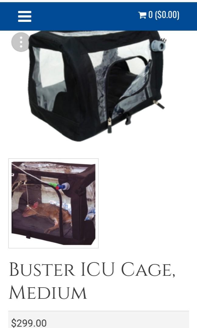 BUSTER ICU Dog Cage Small by Jorgensen Labs., Pet Supplies, Homes ...