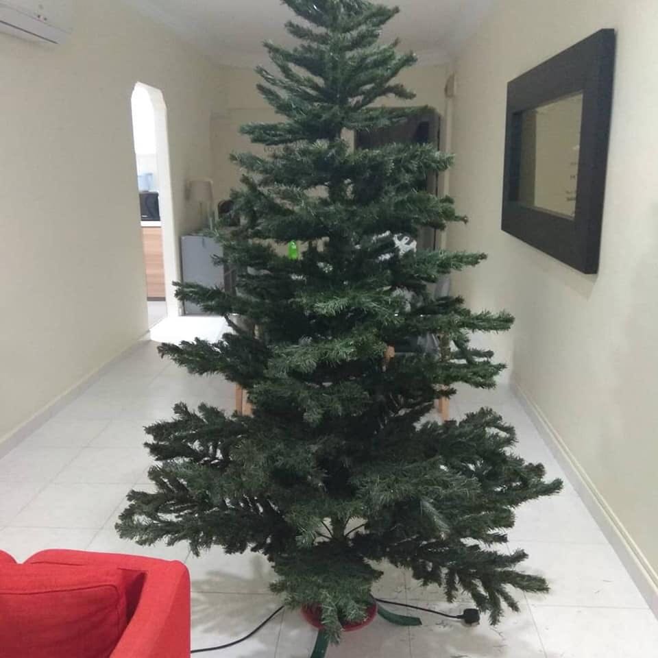 Christmas Tree (6FT), Everything Else on Carousell